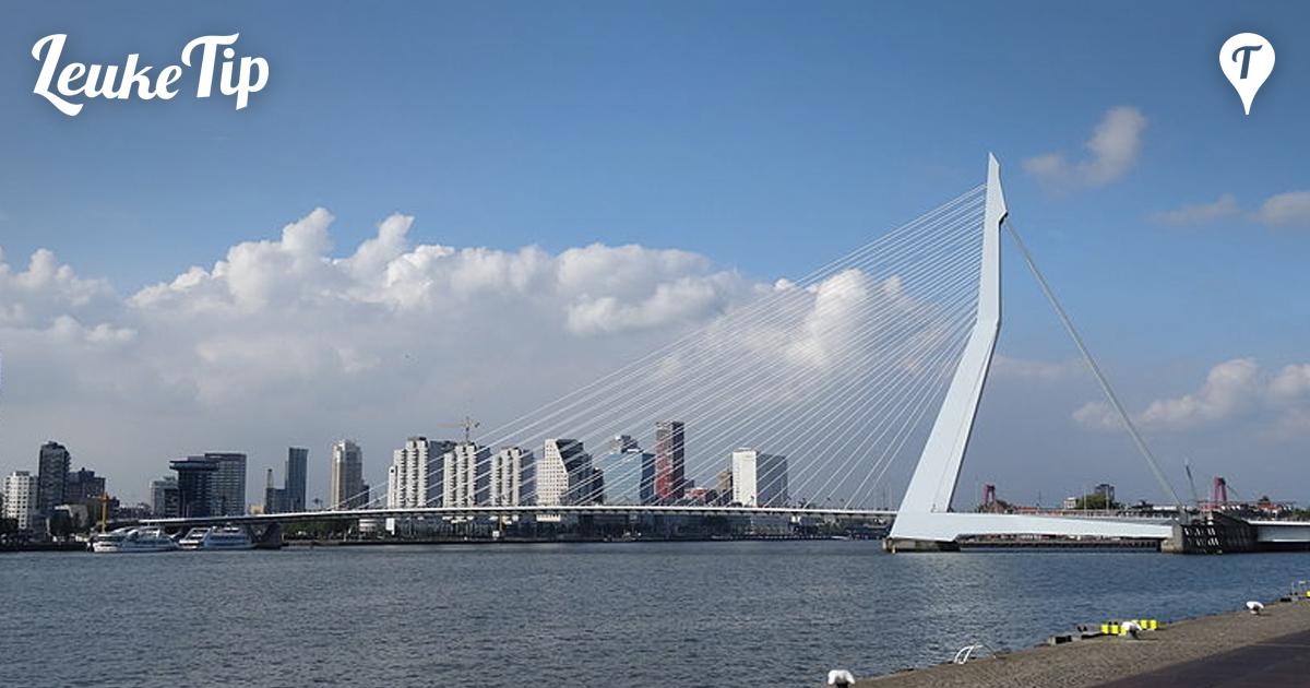 Rotterdam shopping lunch drink fun city trip tips