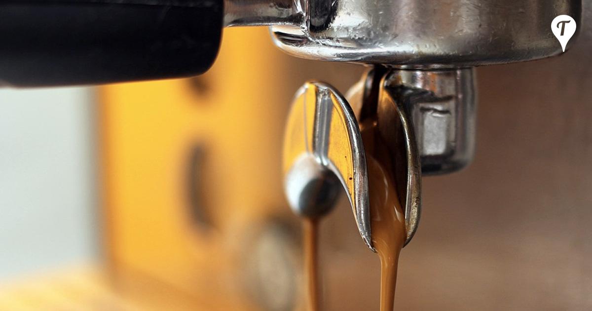 6 best coffee bars lunchrooms and high tea in Purmerend